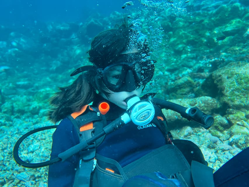 Candelaria : Try diving for the first time | GetYourGuide