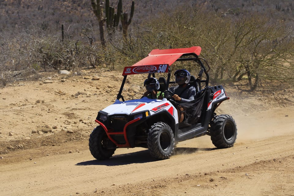 Cabo San Lucas: Excursion en UTV playa y desierto | GetYourGuide