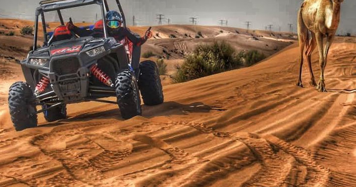 From Agadir: Sahara Desert Buggy Tour with Snack & Transfer | GetYourGuide