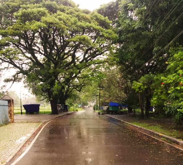 From Cochin: Fort Kochi and Mattancherry Sightseeing Tour | GetYourGuide