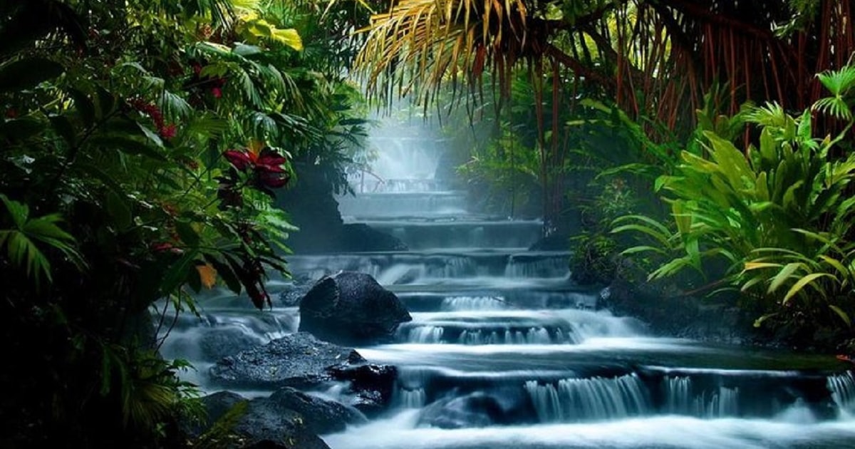 Von San Jose aus: Tabacon Hot Springs & Vulkan Arenal Tagesausflug ...