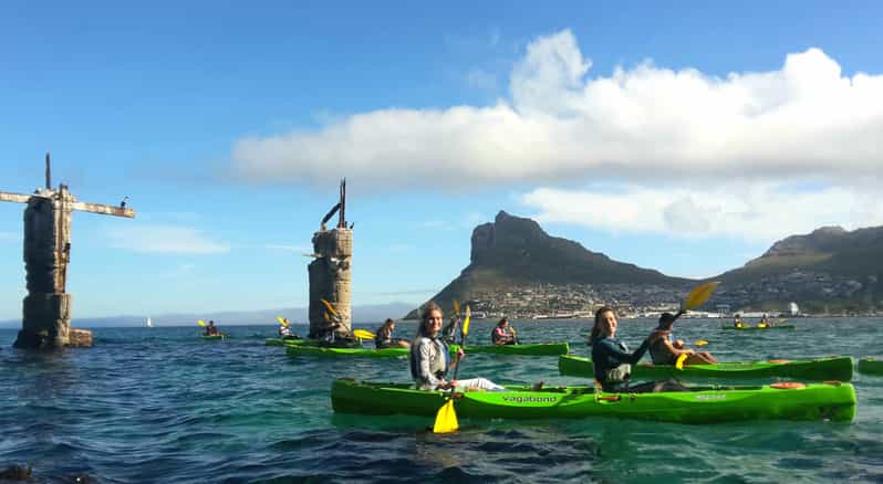 Cape Town: Guided Kayaking in Hout Bay | GetYourGuide