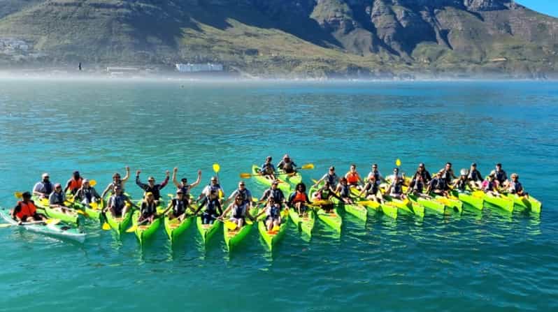 Cape Town: Guided Kayaking in Hout Bay | GetYourGuide