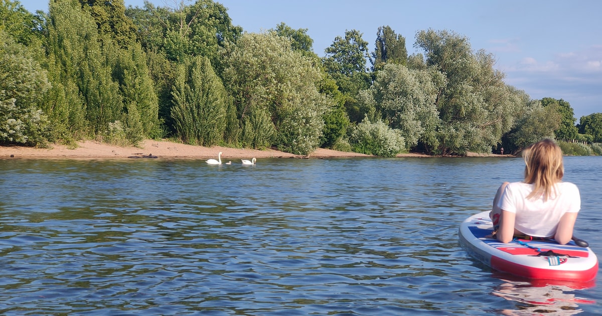 Mainz: Ren Nehri Üzerinde Ayakta Kürek Çekme Turu | GetYourGuide