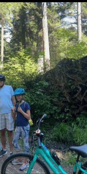 Bike Vancouver: Stanley Park & the world famous seawall | GetYourGuide