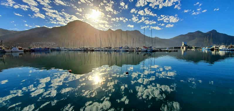 Cape Town: Guided Kayaking in Hout Bay | GetYourGuide