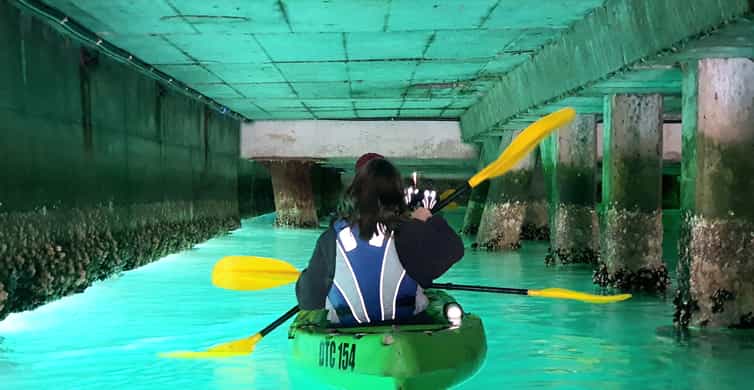 Cape Town: Guided Kayaking in Hout Bay | GetYourGuide