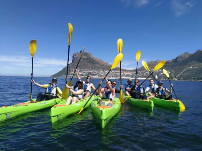 Cape Town: Guided Kayaking in Hout Bay | GetYourGuide
