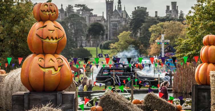 The BEST Alton Towers Entry tickets 2022 - FREE Cancellation | GetYourGuide