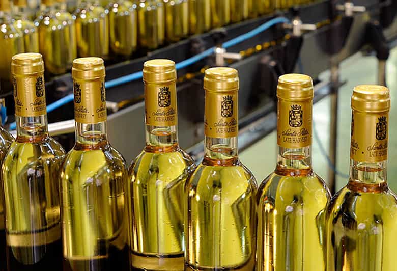 Santa Rita Classic Vineyard Tour | GetYourGuide