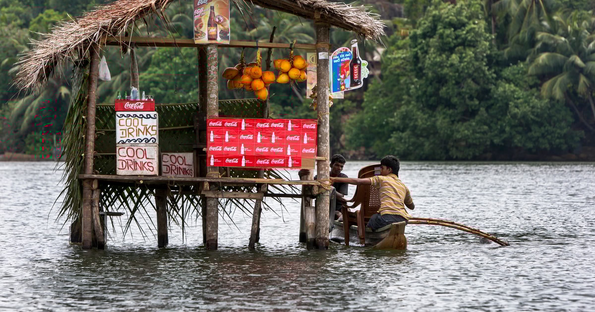 Bentota Day Tour from Colombo | GetYourGuide