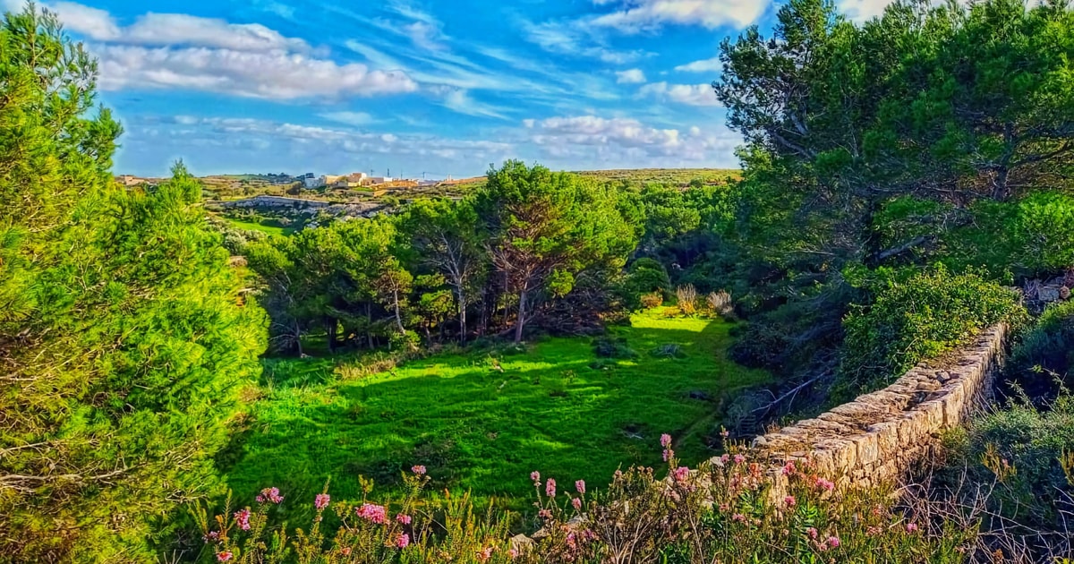 Nature Highlights Private Walking Tour with Transport | GetYourGuide