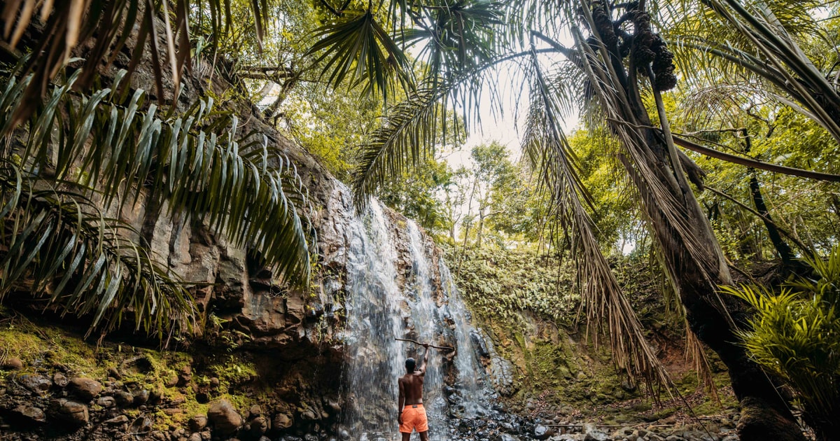 Bel Ombre Naturreservat: Frederica Wasserfälle Picknick Mittagessen ...