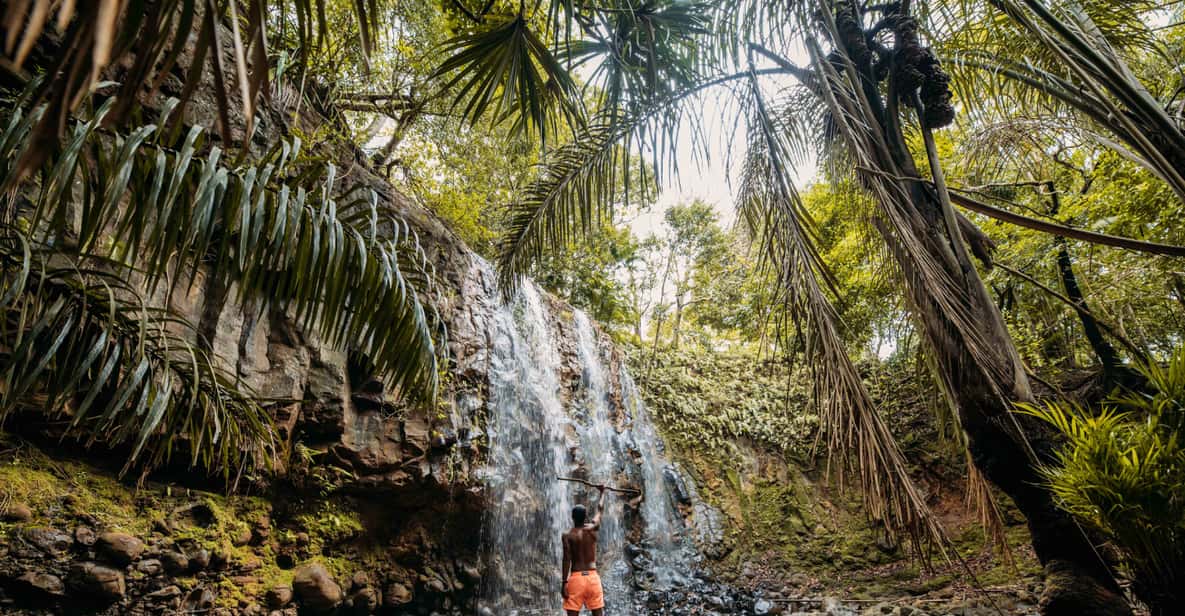 Bel Ombre Nature Reserve: Frederica Waterfalls Picnic Lunch | GetYourGuide