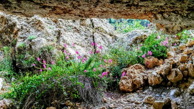 Malta: Nature Highlights Private Walking Tour With Transport | GetYourGuide