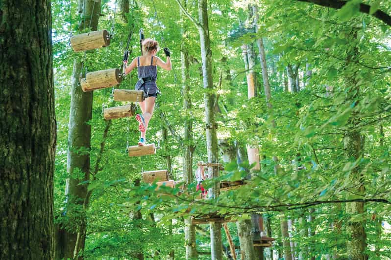 Rope Park Interlaken: Climbing Adventure with Entry Ticket | GetYourGuide