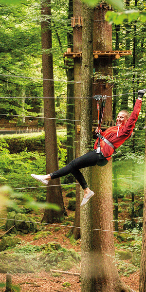 Rope Park Interlaken: Climbing Adventure with Entry Ticket | GetYourGuide