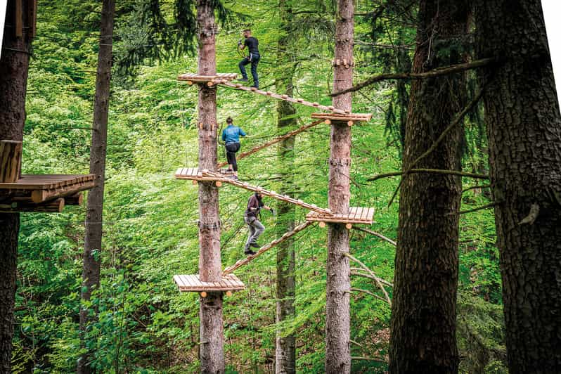 Rope Park Interlaken: Climbing Adventure with Entry Ticket | GetYourGuide