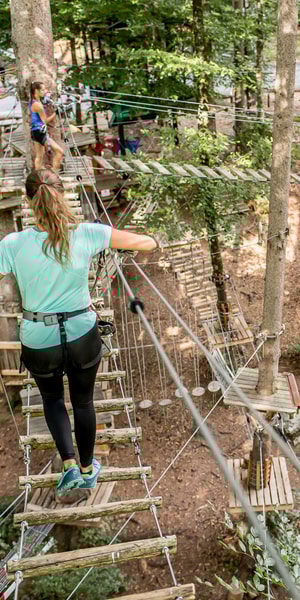 Rope Park Interlaken: Climbing Adventure with Entry Ticket | GetYourGuide
