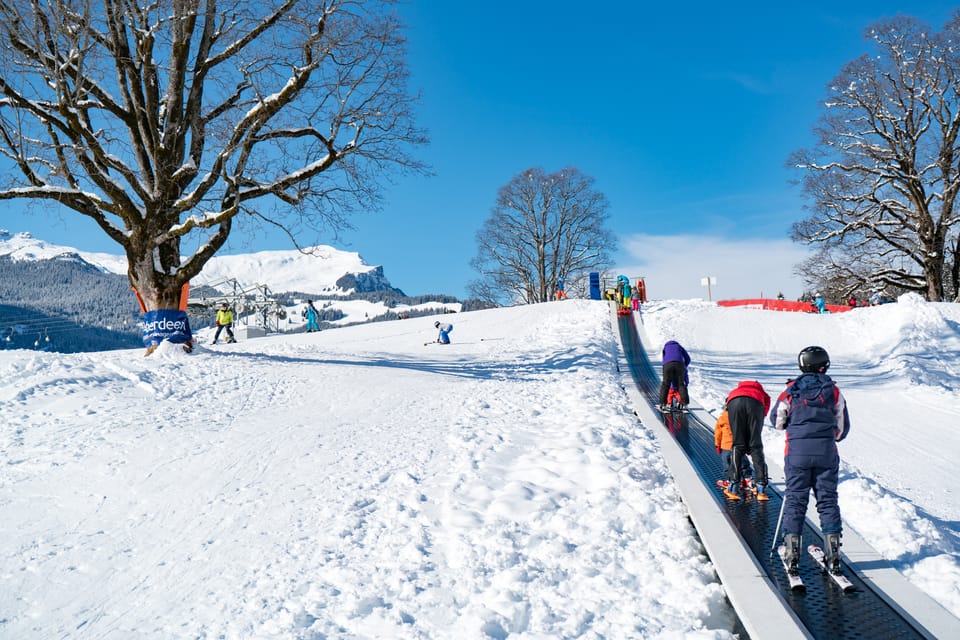 Grindelwald: Αρένα Bodmi: Sledding και Tubing στο Bodmi Arena ...