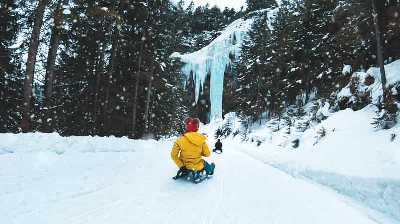 Interlaken: Aventura Alpina de Invierno - Raquetas de Nieve y Trineo ...