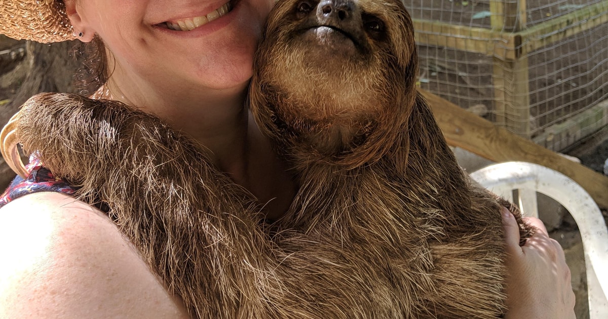 Monkeys and Sloths Hangout plus Island Tour in Roatan | GetYourGuide