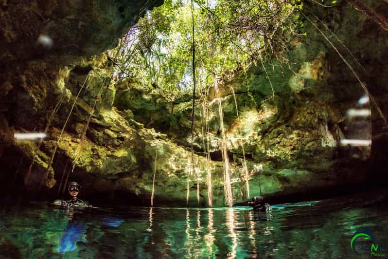 Cenotes & Cavern Diving Tour | GetYourGuide