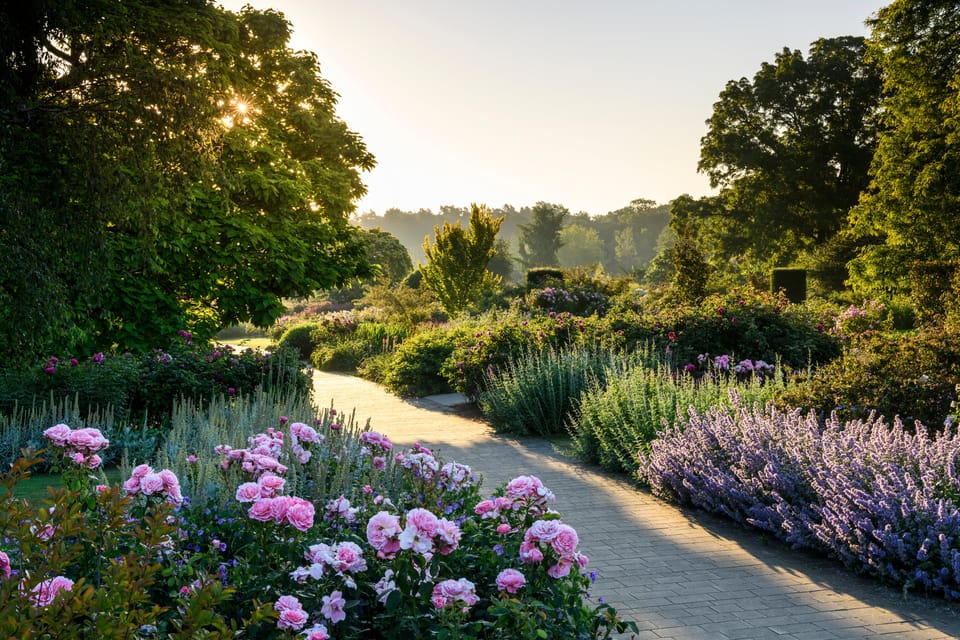 Woking: Royal Horticultural Society Wisley Garden Ticket | GetYourGuide