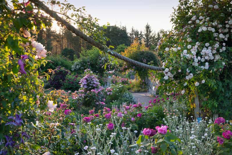 Royal Horticultural Society: Rosemoor Garden Ticket | GetYourGuide