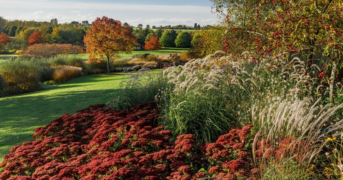 Royal Horticultural Society: Hyde Hall Garden Ticket | GetYourGuide