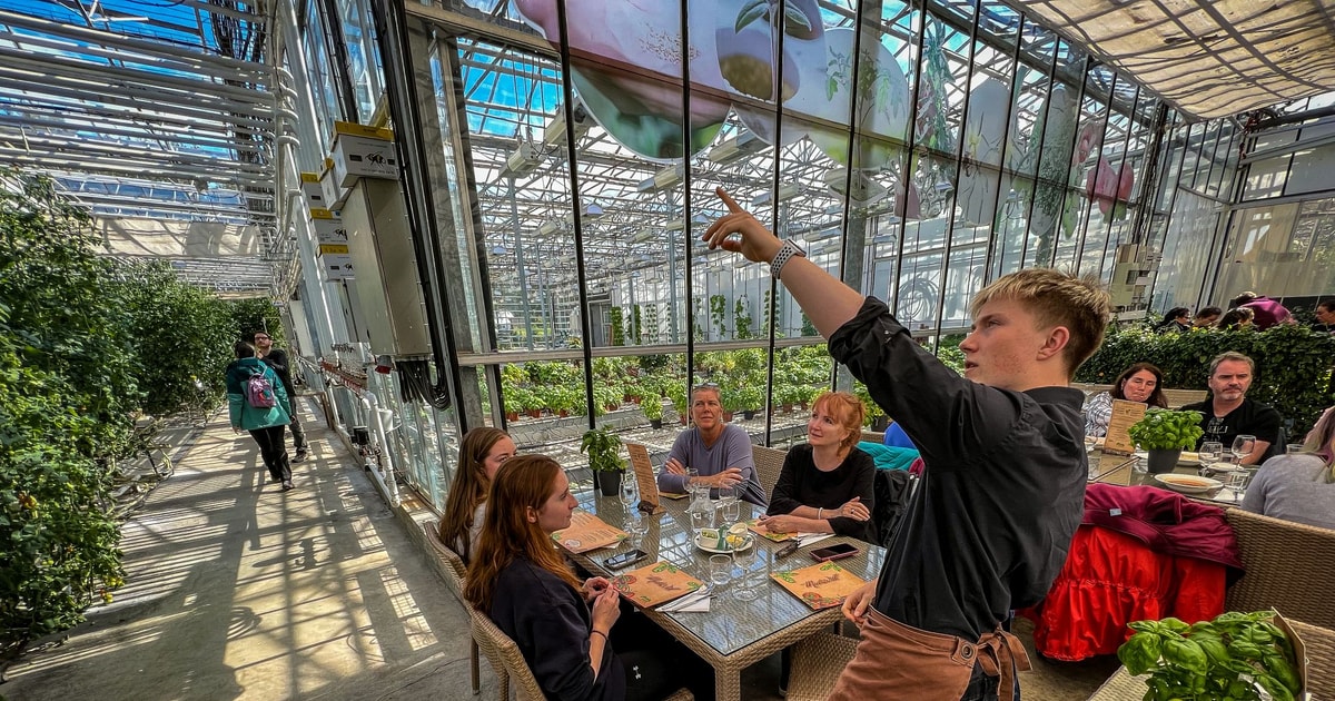 Golden Circle & Mittagessen auf dem Tomatenhof Fridheimar - mit Fotos ...