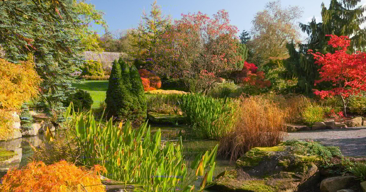 Royal Horticultural Society: Harlow Carr Garden Ticket | GetYourGuide