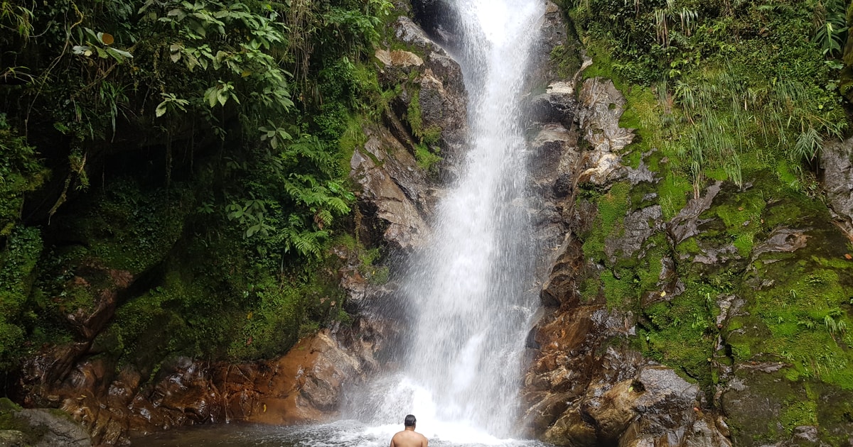 From Medellin: Guided Hiking Tour in Nature | GetYourGuide