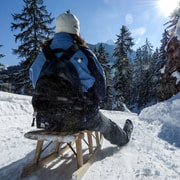 Interlaken: Guided Sledging Adventure | GetYourGuide