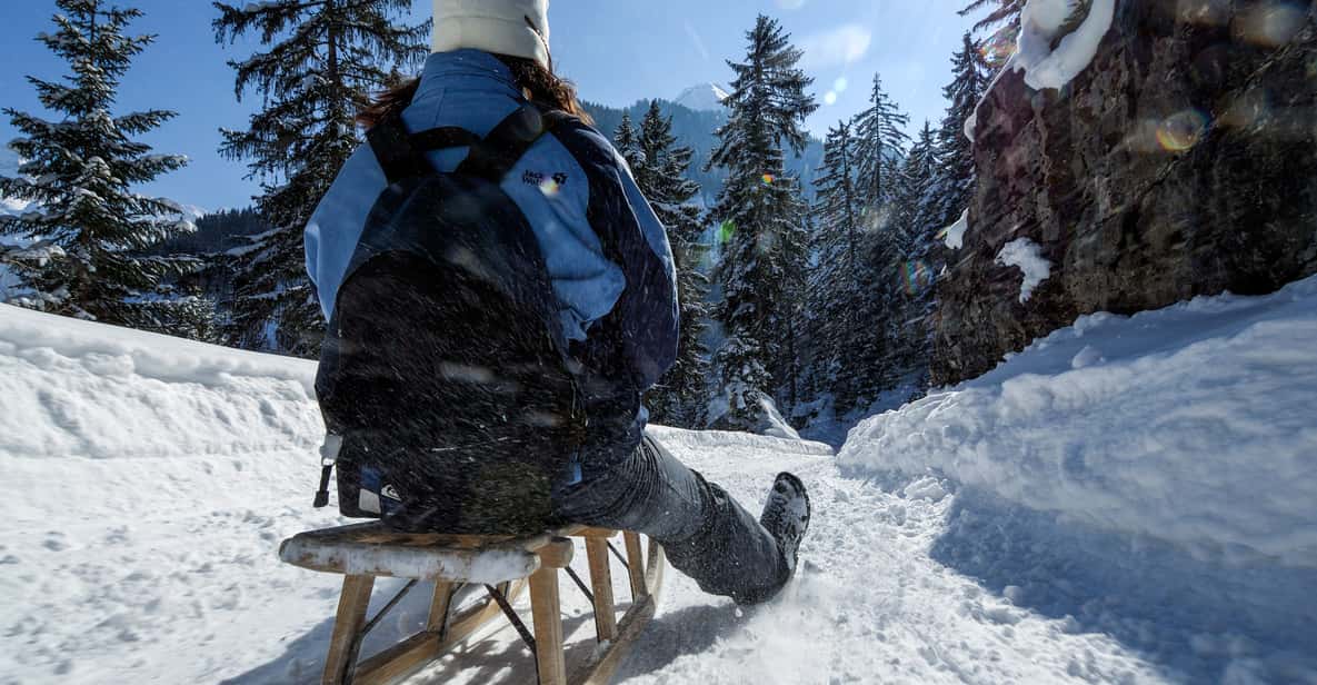 Interlaken: Guided Sledging Adventure | GetYourGuide