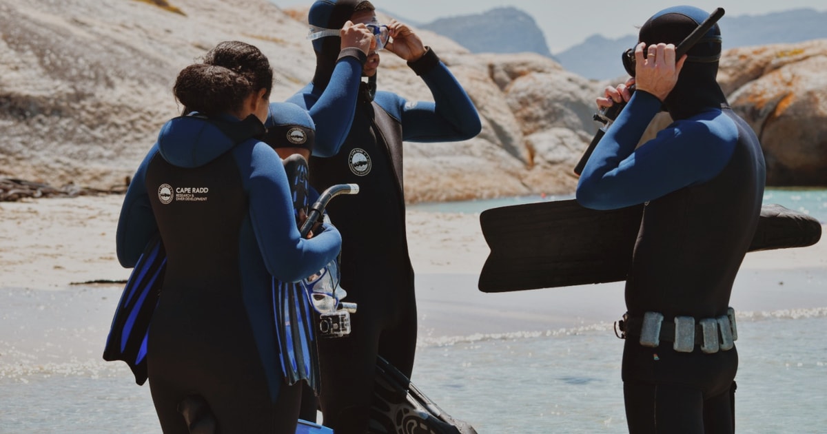 Cape Town: Great African Sea Forest Guided Snorkel | GetYourGuide