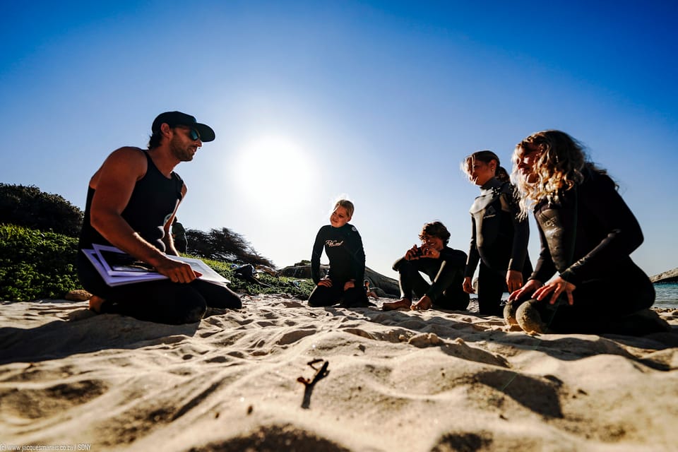 Cape Town: Great African Sea Forest Guided Snorkel | GetYourGuide