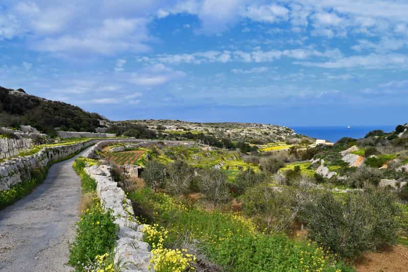 Malta: Mistra Valley & Selmun Palace Private Walking Tour | GetYourGuide