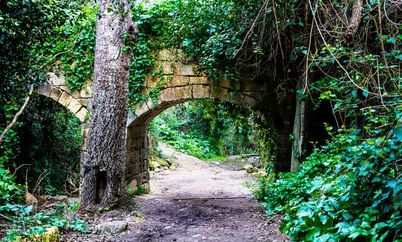 Buskett Woodlands and Dingli Cliffs Private Nature Tour | GetYourGuide