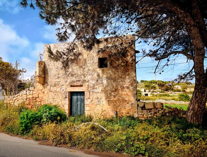 Buskett Woodlands and Dingli Cliffs Private Nature Tour | GetYourGuide