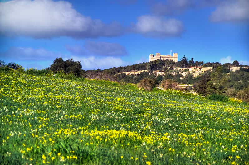 Buskett Woodlands and Dingli Cliffs Private Nature Tour | GetYourGuide