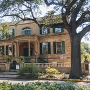 Savannah: Private Guided Highlight's Tour | GetYourGuide