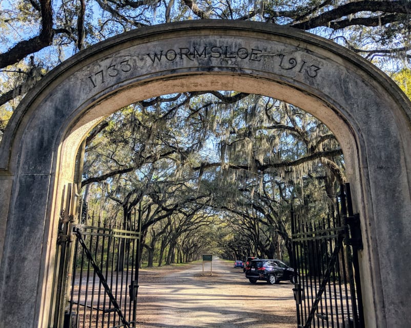 Savannah: Private Guided Highlight's Tour | GetYourGuide