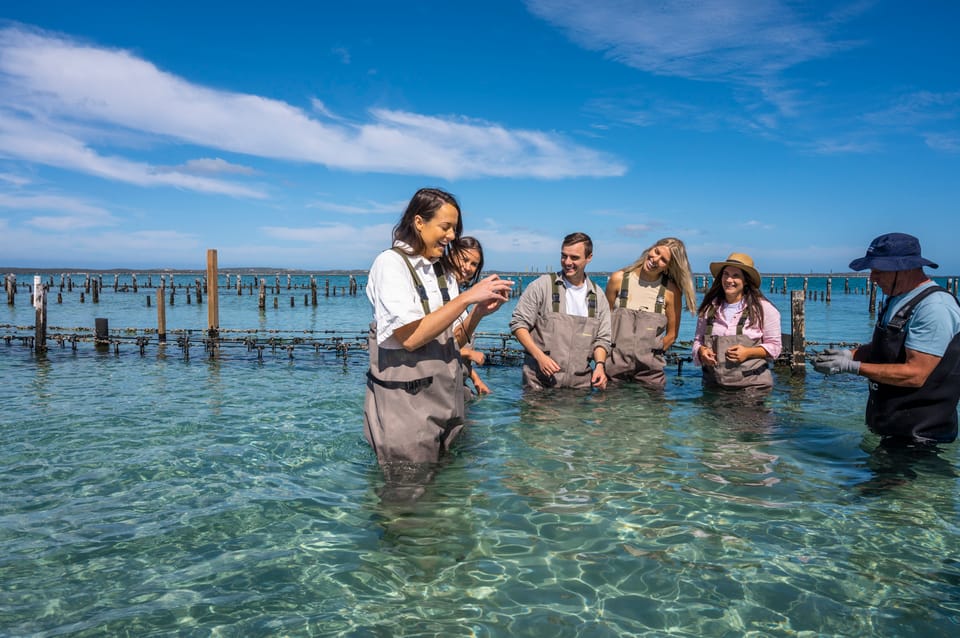 Coffin Bay: Oyster Farm Boat Tour with Wading & 12 Oysters | GetYourGuide