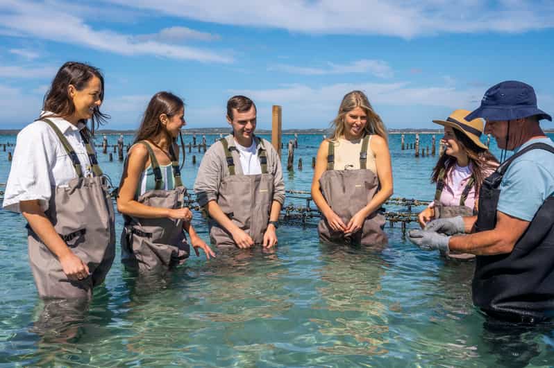 Coffin Bay: Oyster Farm Boat Tour with Wading & 12 Oysters | GetYourGuide