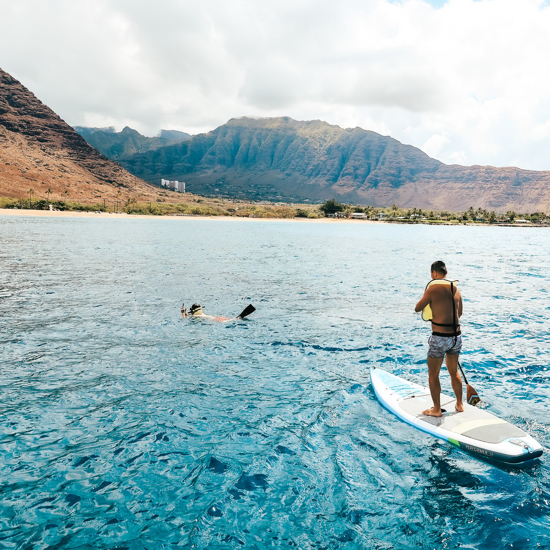 Oahu: Swim with Dolphins, Turtle Snorkel Tour and Waterslide | GetYourGuide