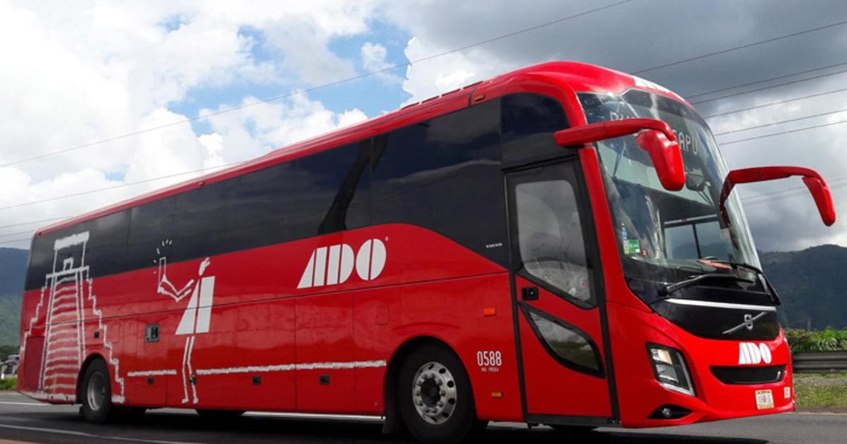 Bus Ticket connecting Cancun Central and Playa del Carmen | GetYourGuide