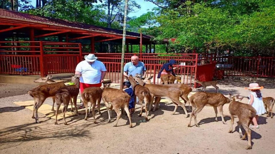 Langkawi: Langkawi Wildlife Park Entry Ticket | GetYourGuide