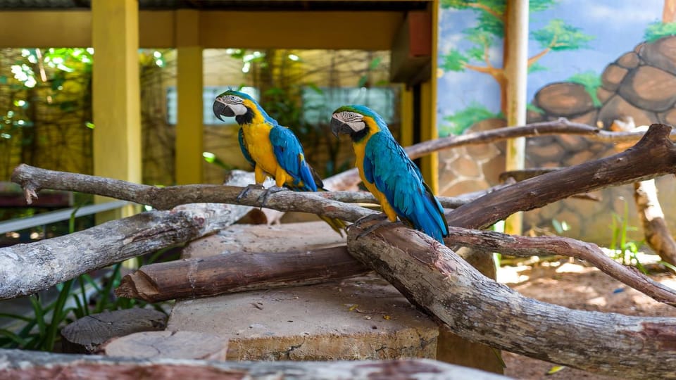 Langkawi: Langkawi Wildlife Park Entry Ticket | GetYourGuide
