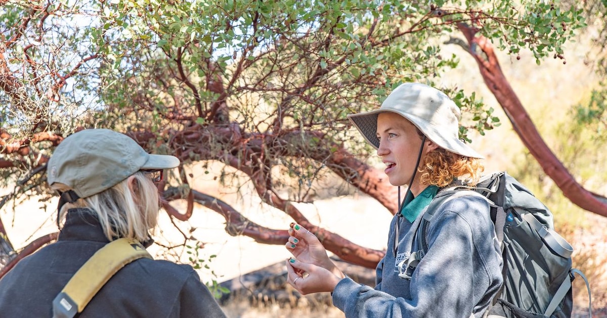 San Luis Obispo: tour di foraggiamento del ranch Margarita | GetYourGuide